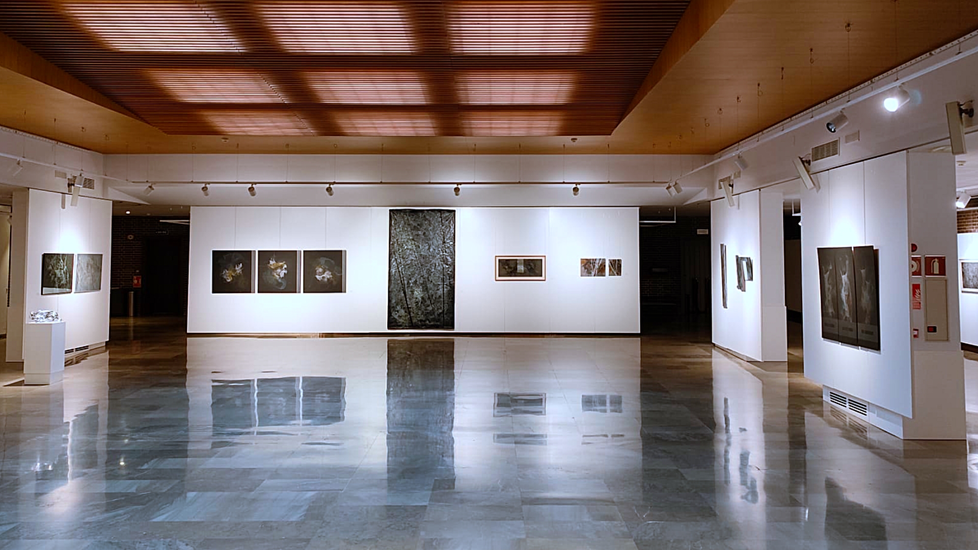 O_LUMEN. Francisco Martin Villarrubia’s Retrospective